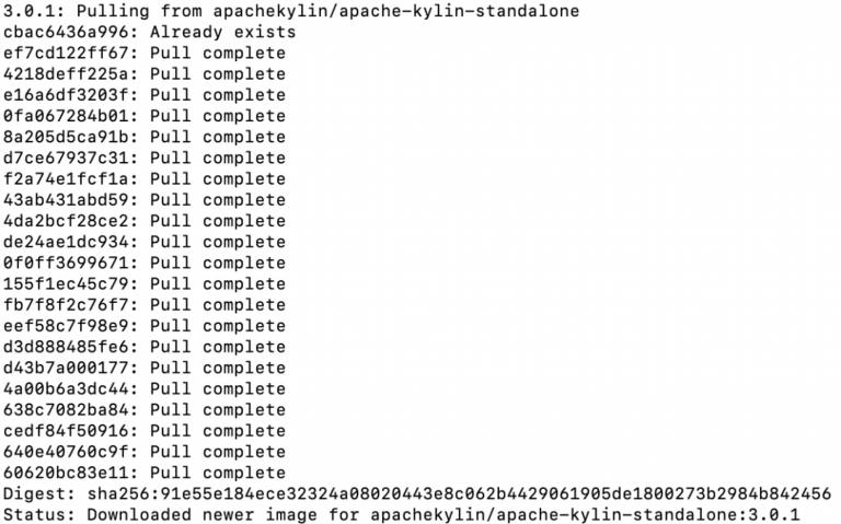 Apache Kylin Quick Start Guide for Rapid Deployment